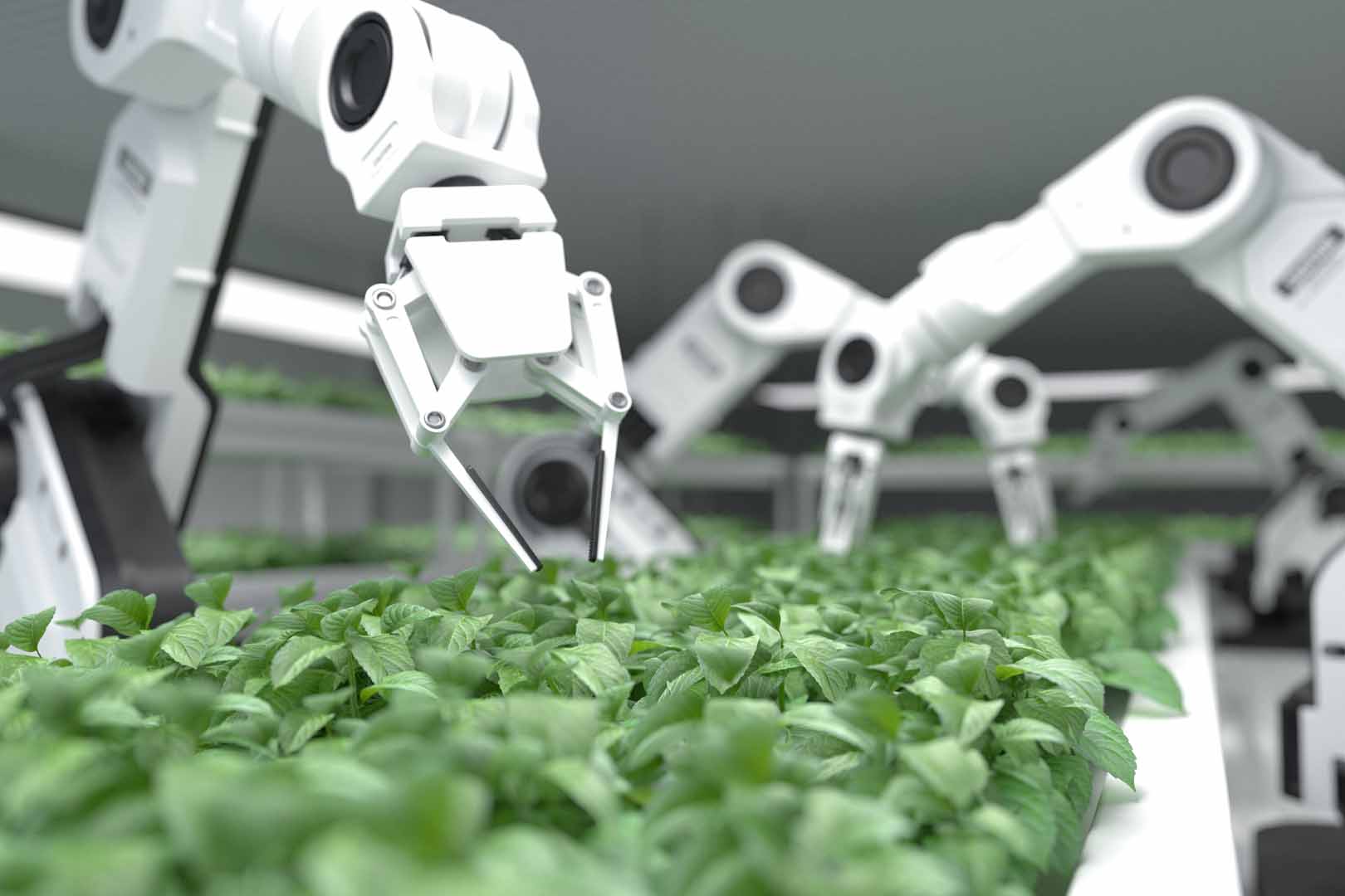 Robotic System Design Services | PEC